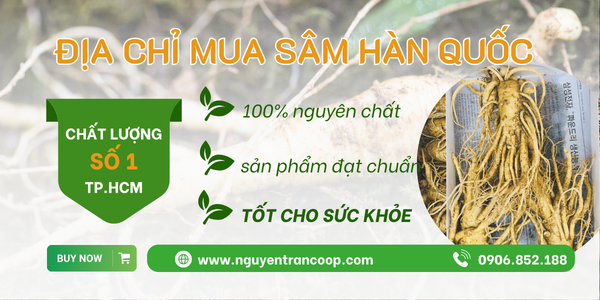 Nhân Sâm Hàn Quốc Tươi Uy Tín - Chính Gốc Tại TP HCM